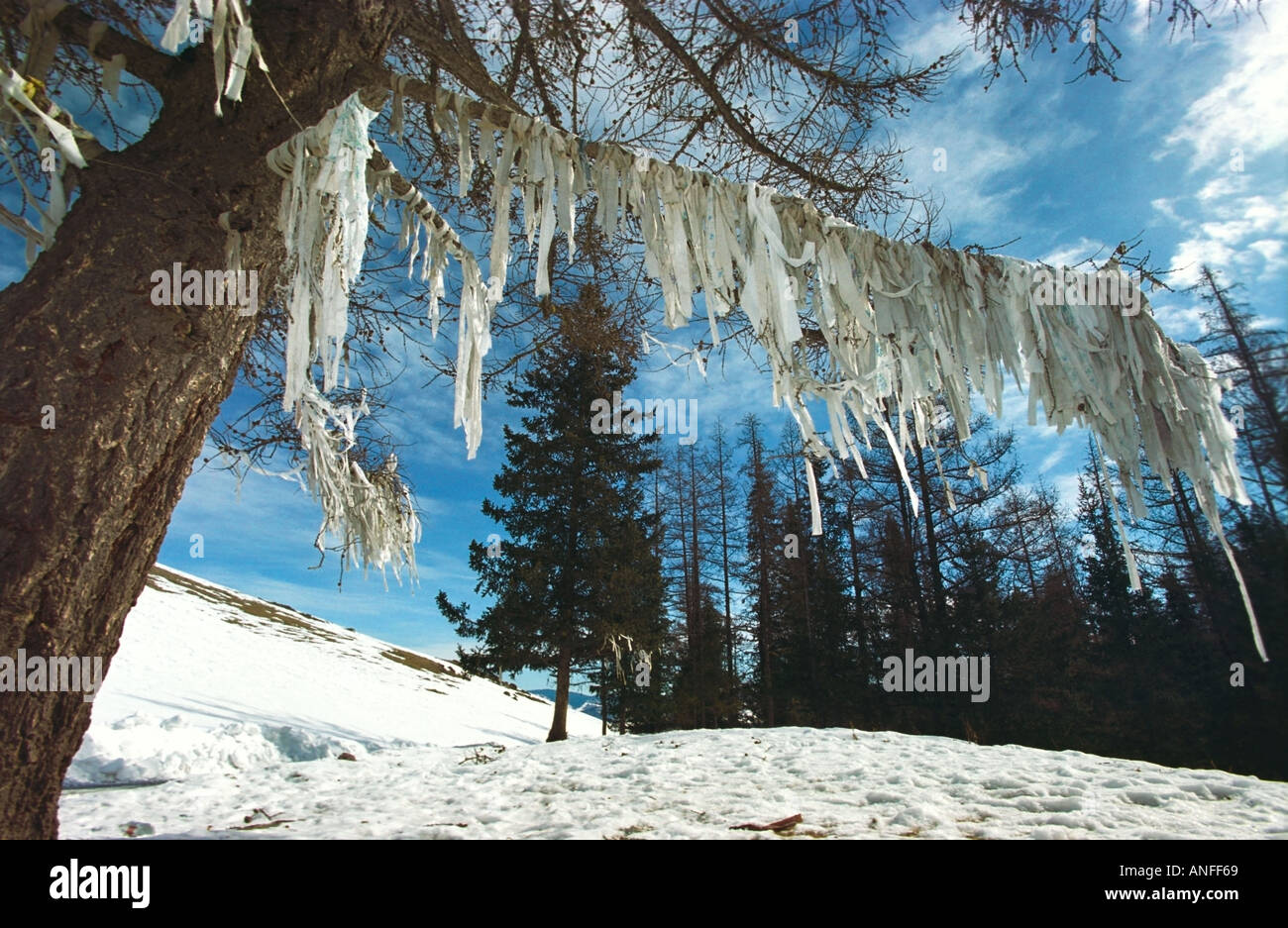 Yalama tied up on trees branches ribbons of different colors ancient ...