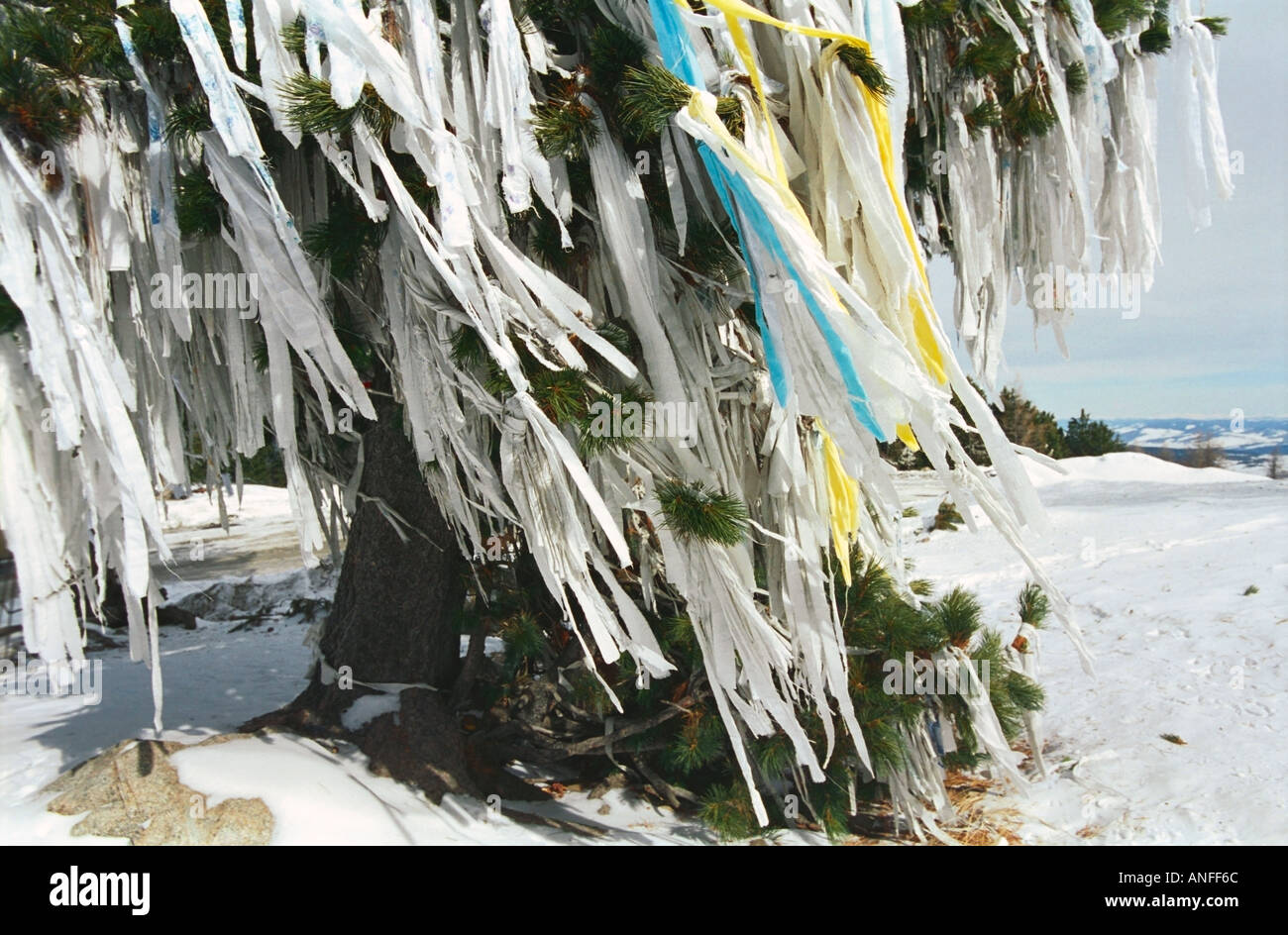 Yalama tied up on trees branches ribbons of different colors ancient ...