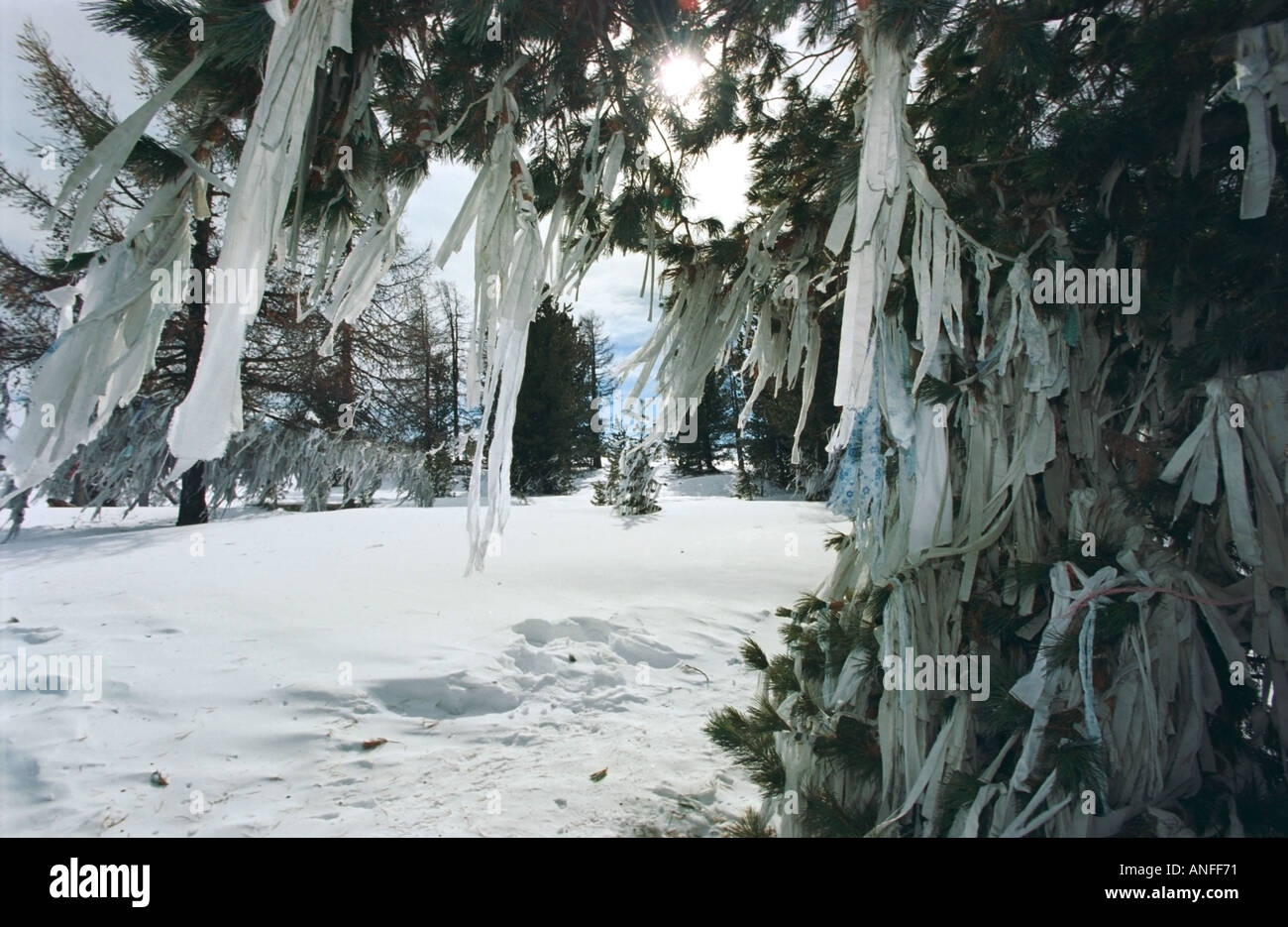 Yalama tied up on trees branches ribbons of different colors ancient ...