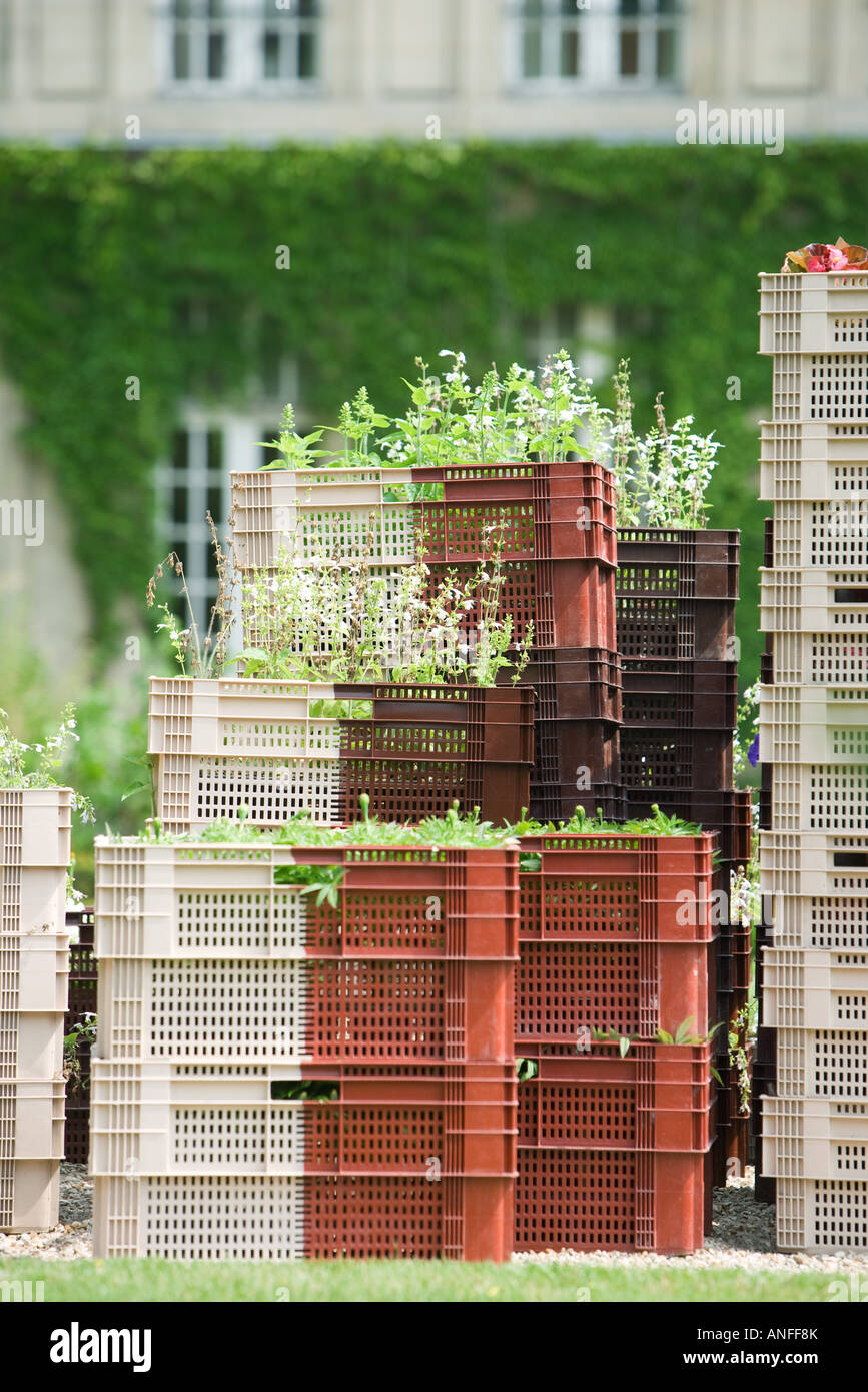 Crates of plants stacked up Stock Photo - Alamy