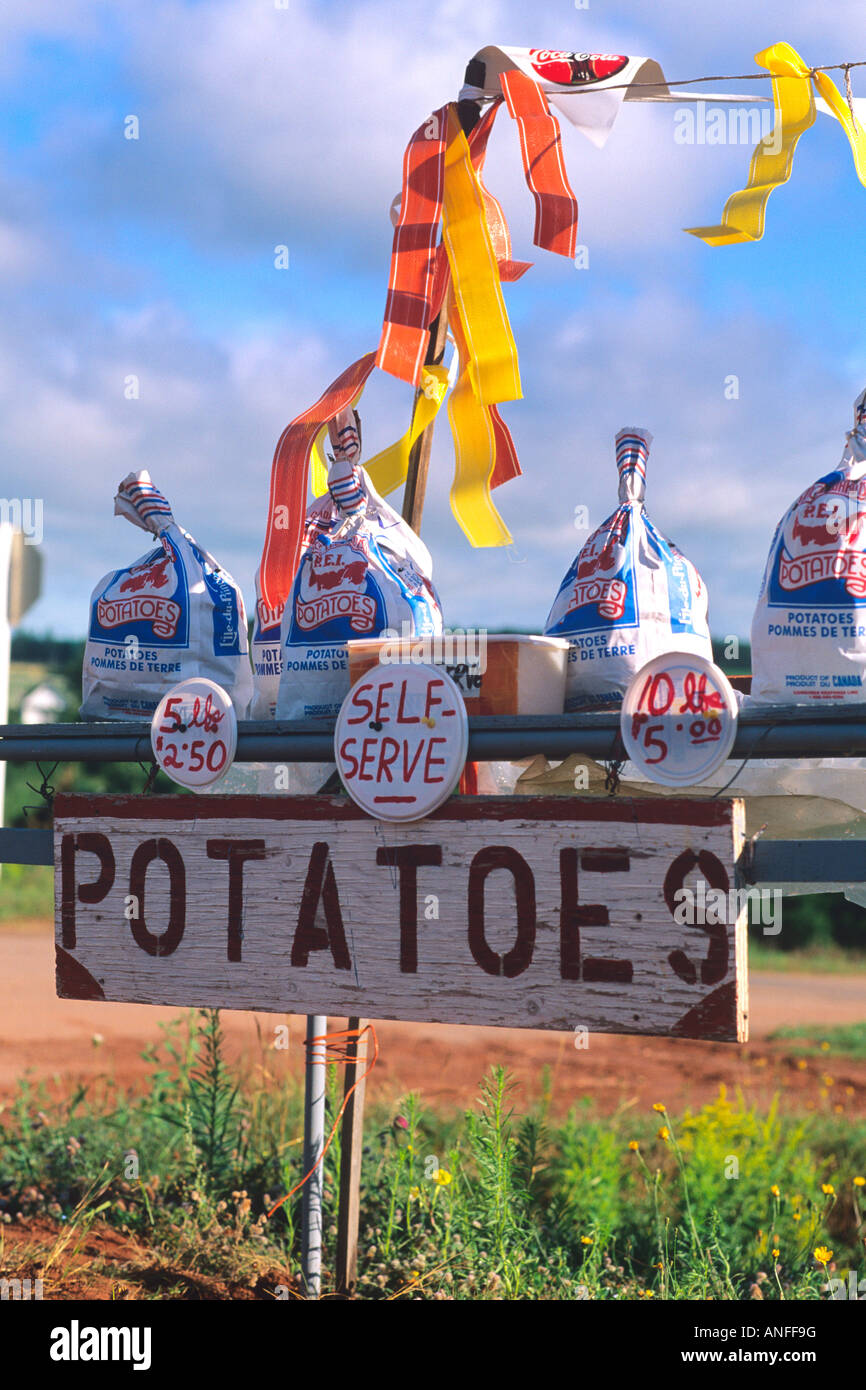 Potato Stand, tryon, Prince Edward Island, Canada Stock Photo - Alamy