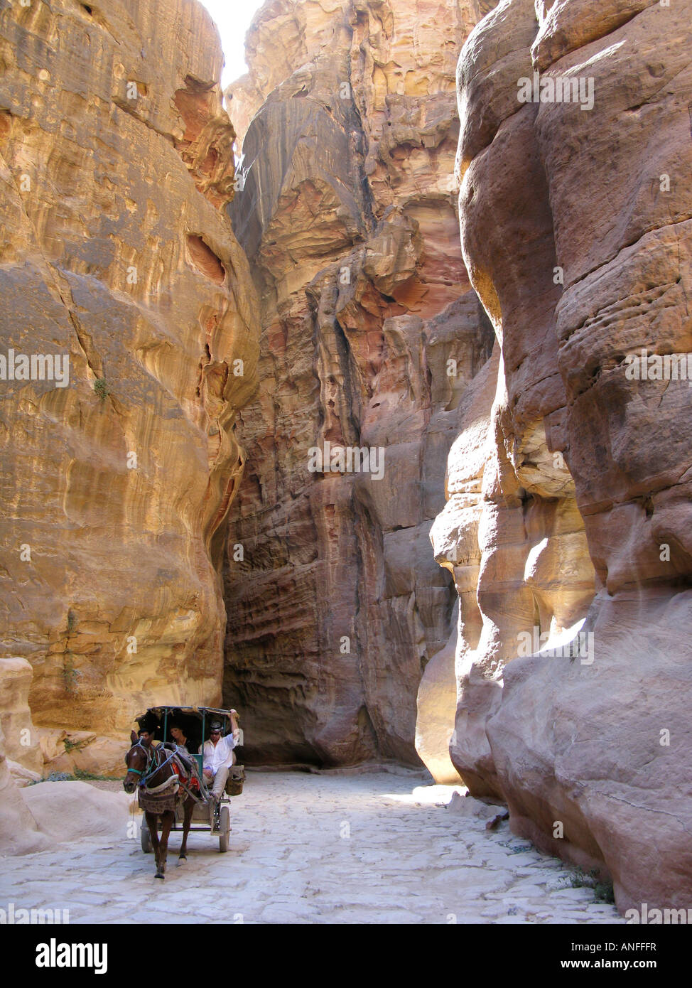 horse carriage jordan petra siq Stock Photo - Alamy