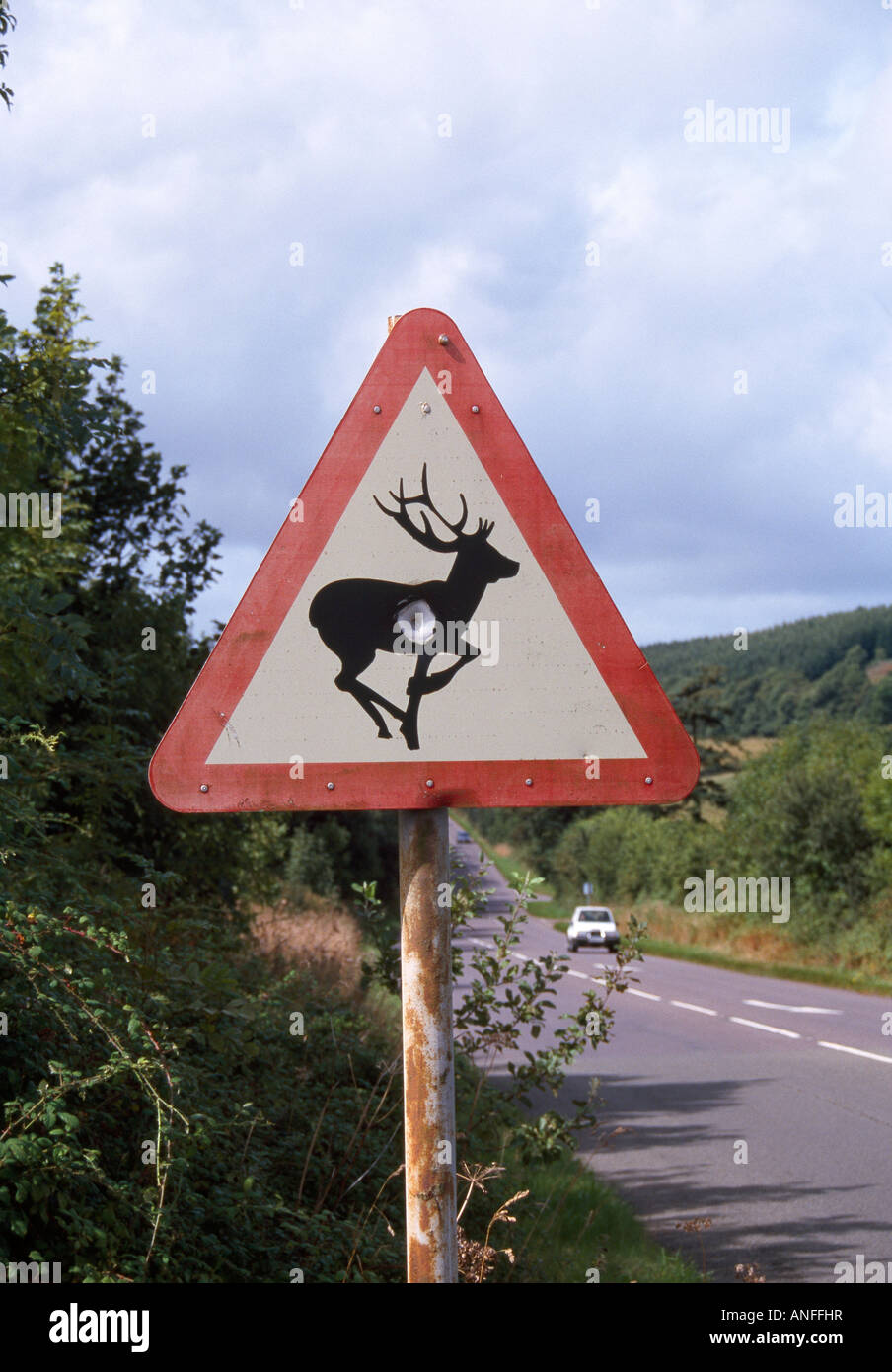 warning deer road sign used as target Stock Photo - Alamy