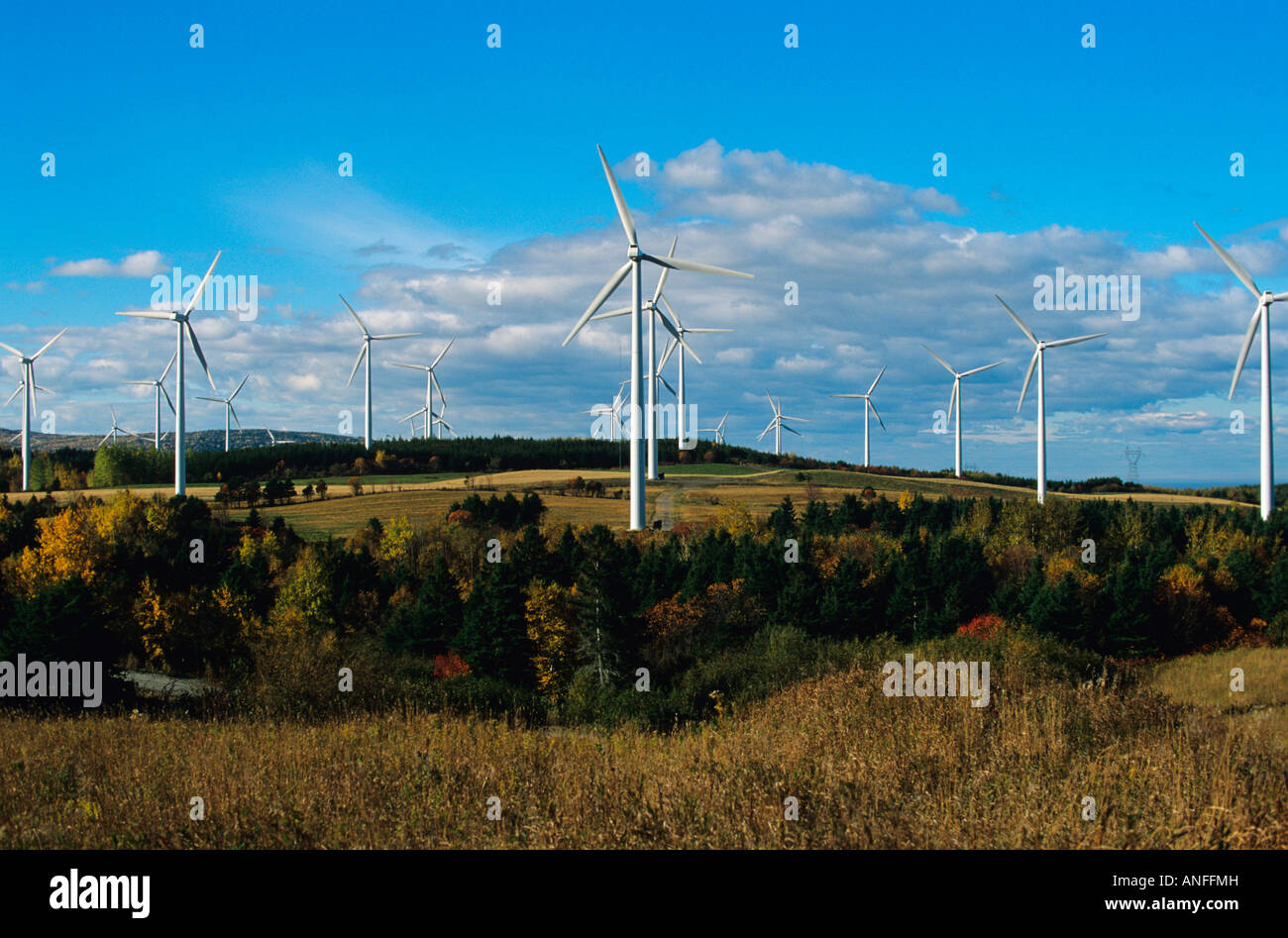 wind farm, Cap-Chat, Quebec, Canada Stock Photo - Alamy