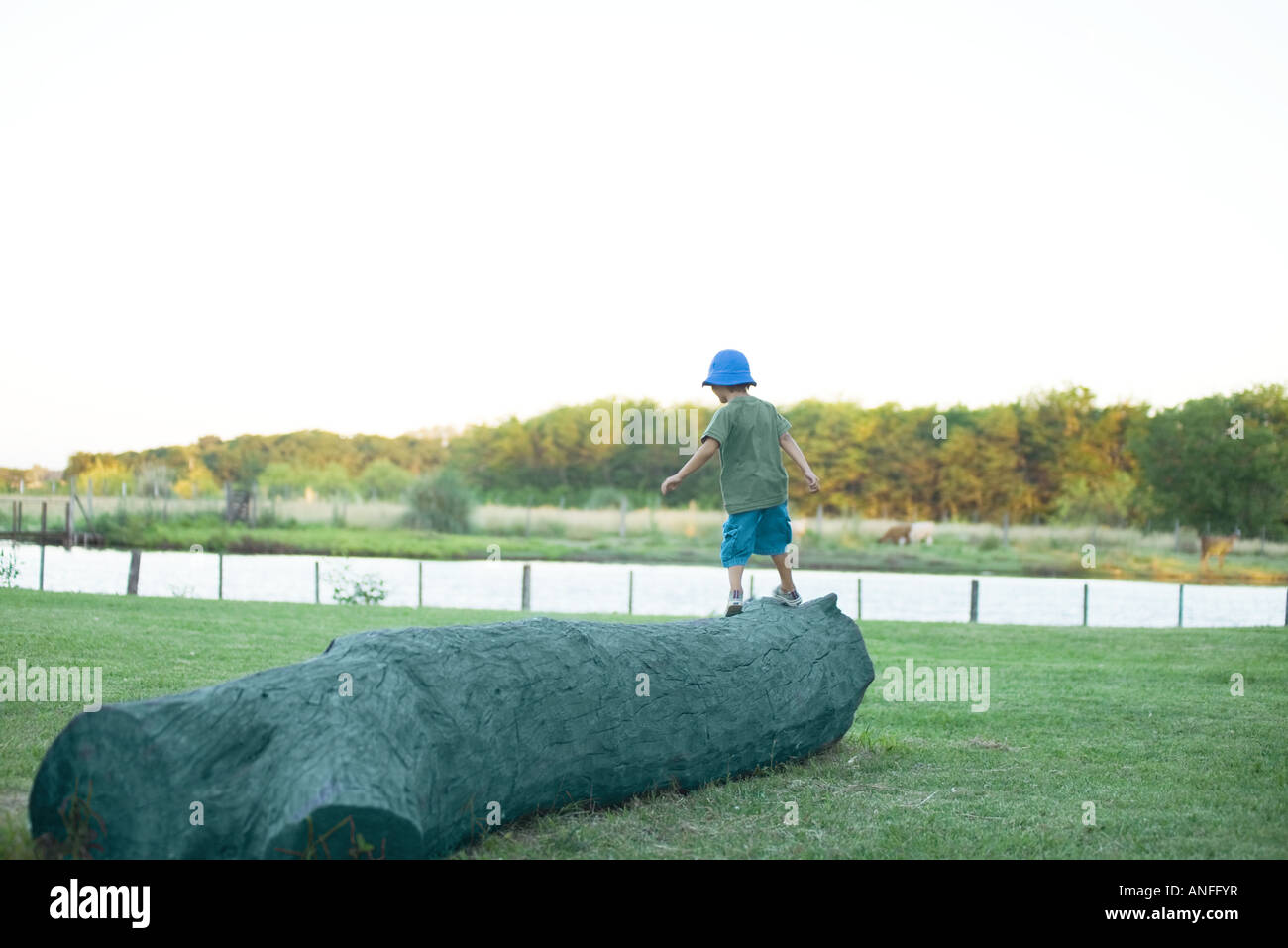 Boy walking on log, rear view Stock Photo - Alamy