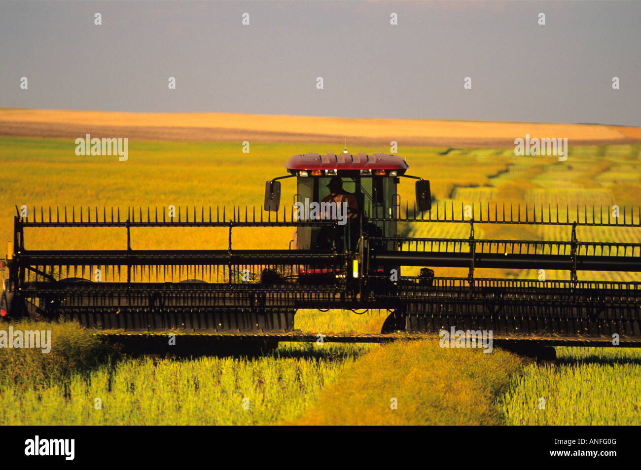 Rural saskatchewan plains hi-res stock photography and images - Alamy