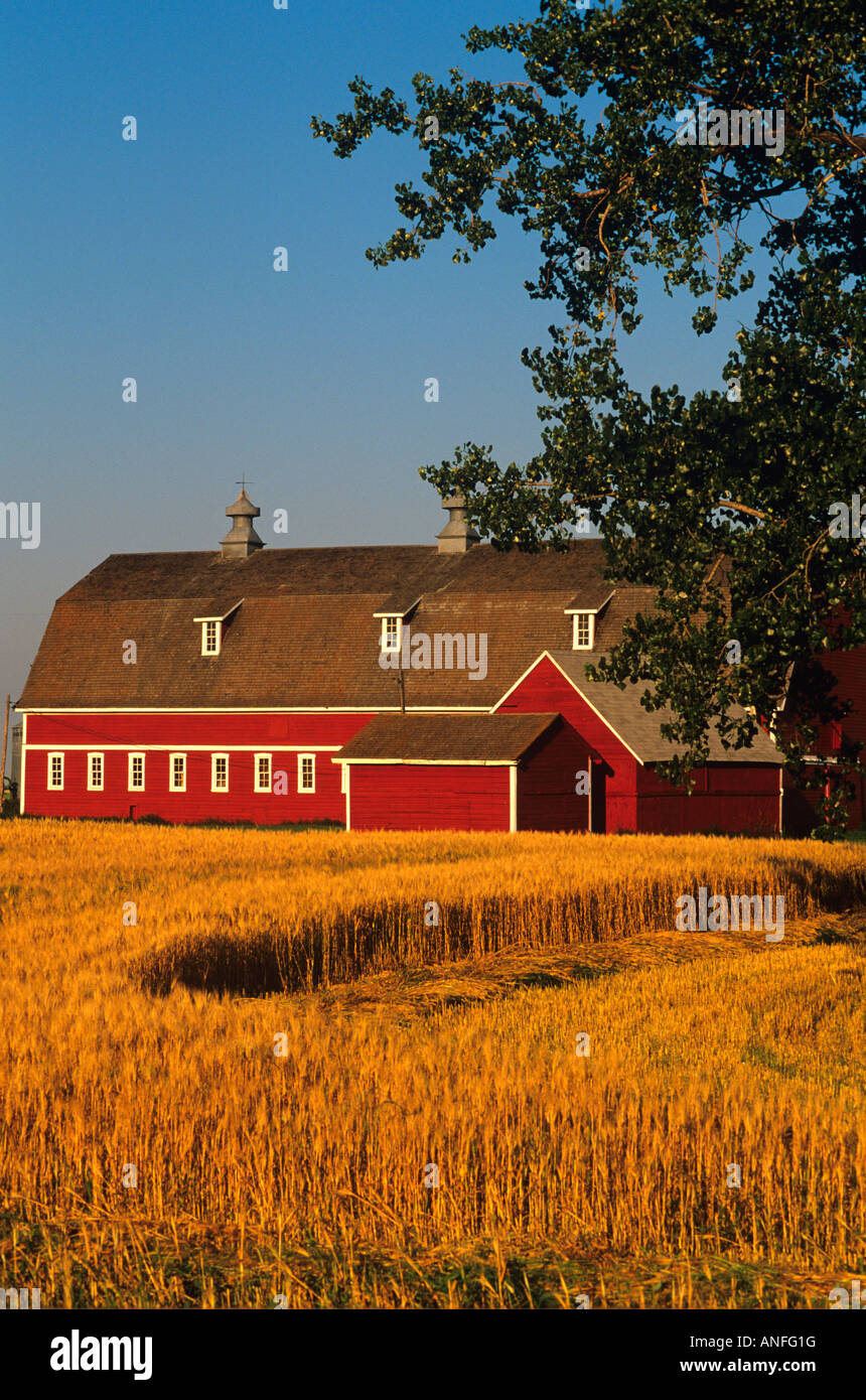Red barn in Borden, Saskatchewan, Canada Stock Photo - Alamy