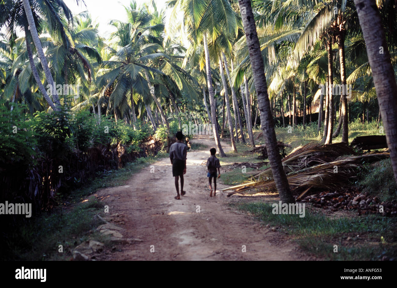 man and son walk down a country road near Poovar in Kerala India Stock ...