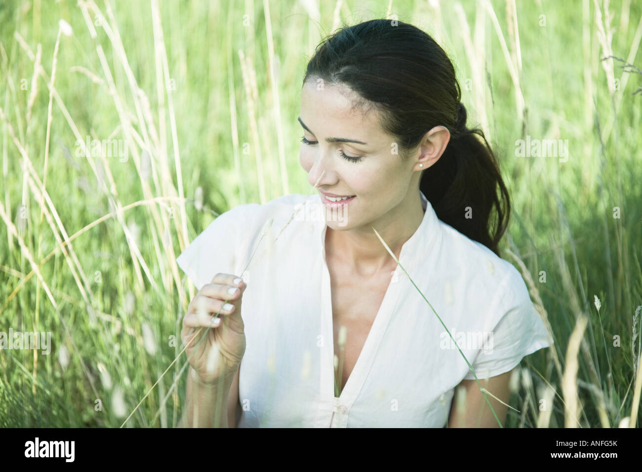 Long grasses touch hi-res stock photography and images - Alamy