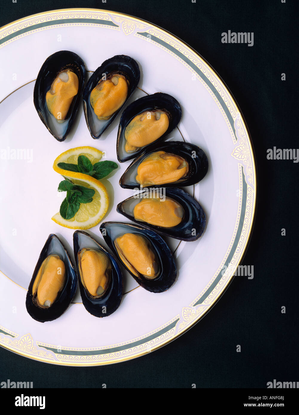 Shell plating hi-res stock photography and images - Alamy