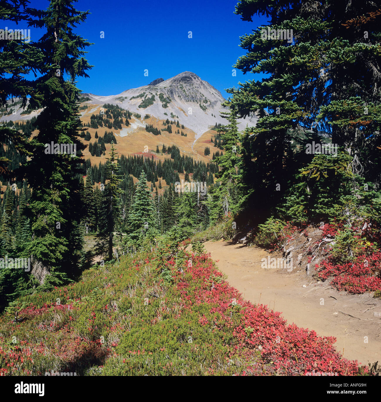 Meadow trail to black tusk hi-res stock photography and images - Alamy