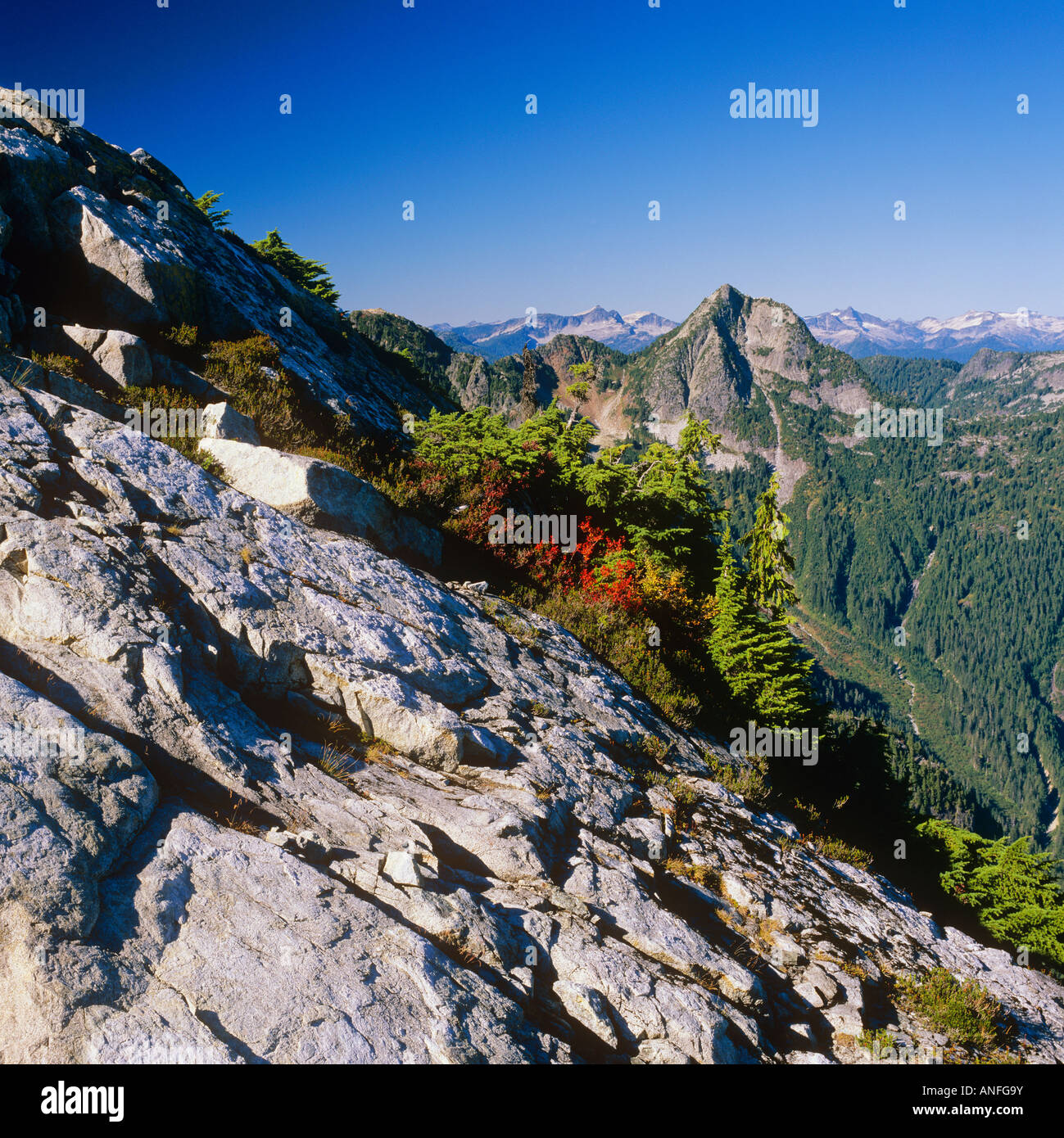 View of tetrahedron from panther peak, coast mountains, sunshine coast ...