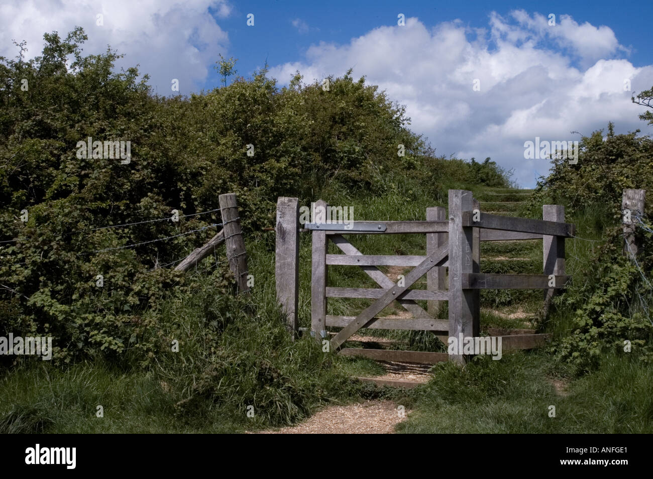 Country gate turnstile style England Stock Photo - Alamy