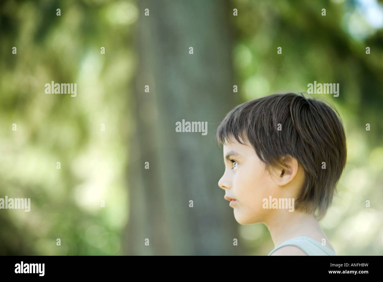 Little boy outdoors, cropped view of head and shoulders, side view ...