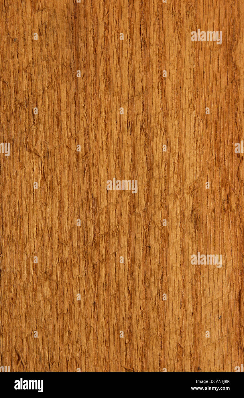 The oak is cut hi-res stock photography and images - Alamy