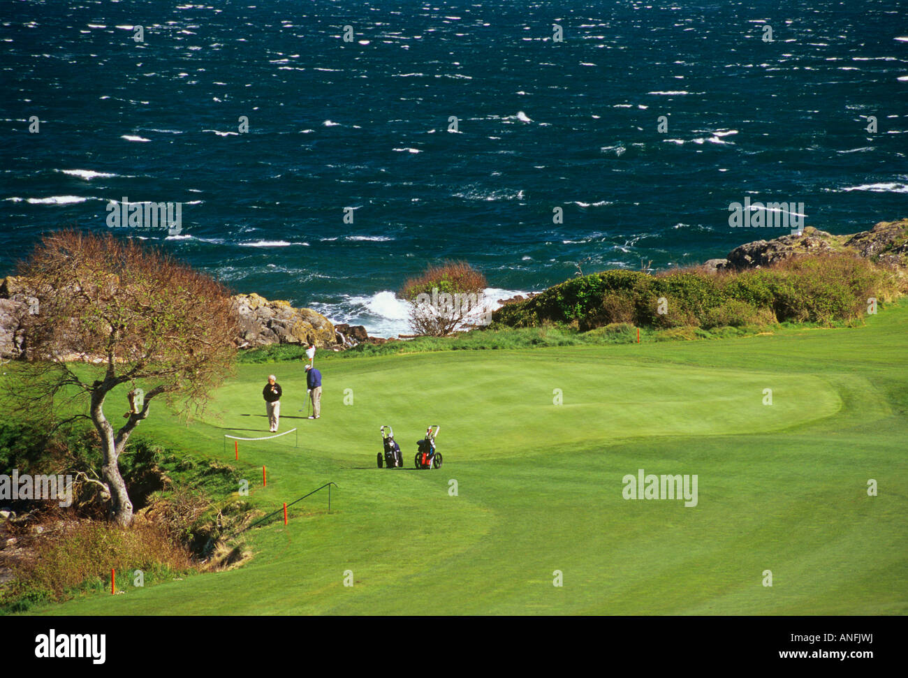 Victoria green b hi-res stock photography and images - Alamy