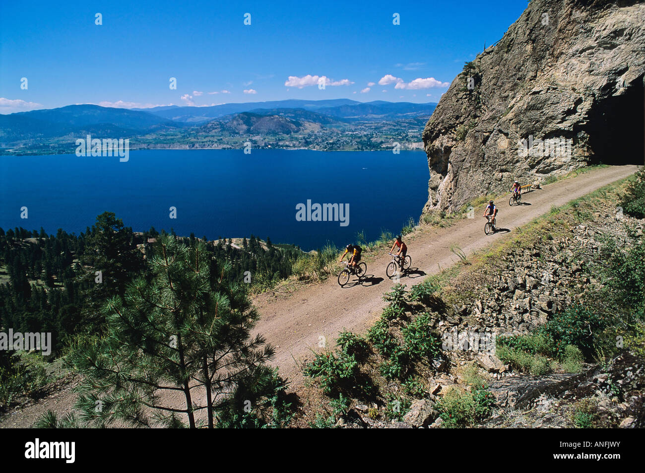 Cyclist on the Trans-Canada Trail, Penticton, british columbia, canada ...