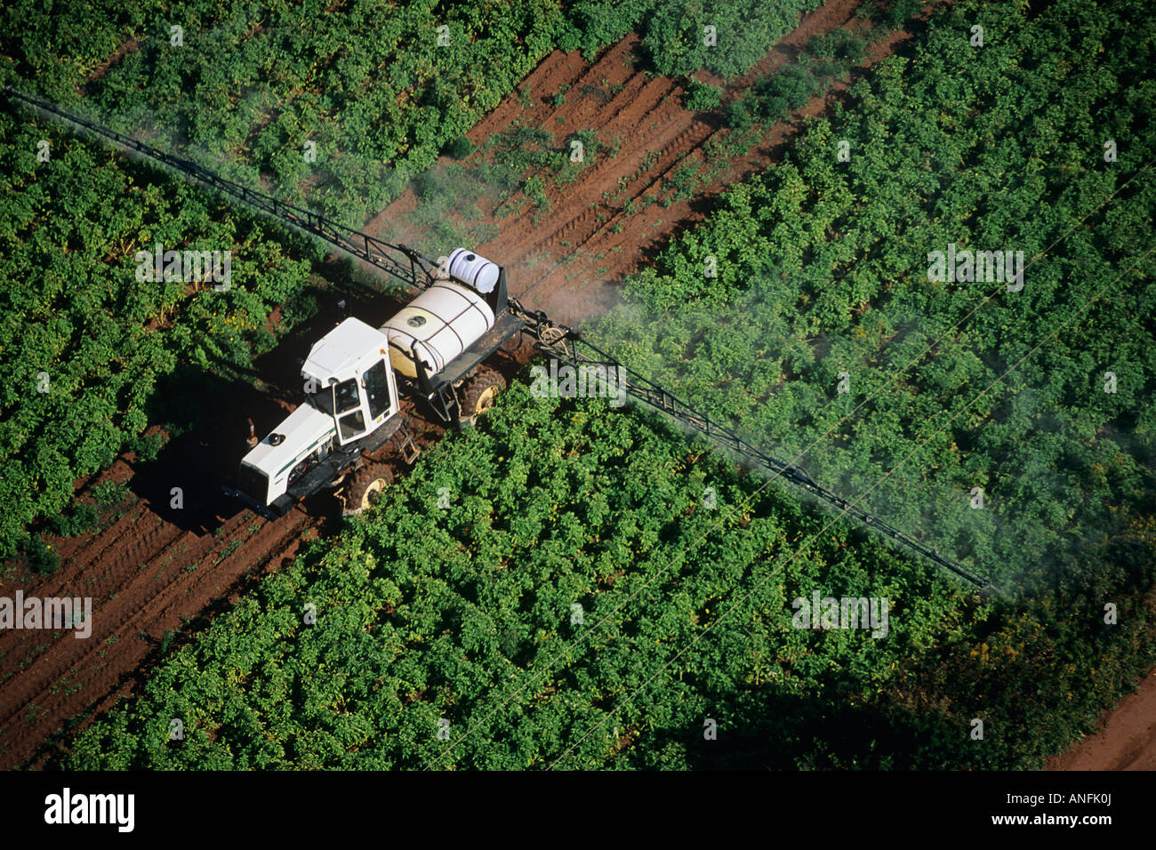 Aerial of farming on prince edward island hi-res stock photography and ...