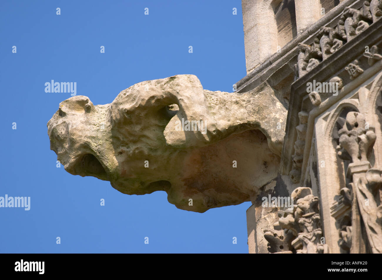 Gargoyle on Canterbury Cathedral Kent England Stock Photo - Alamy