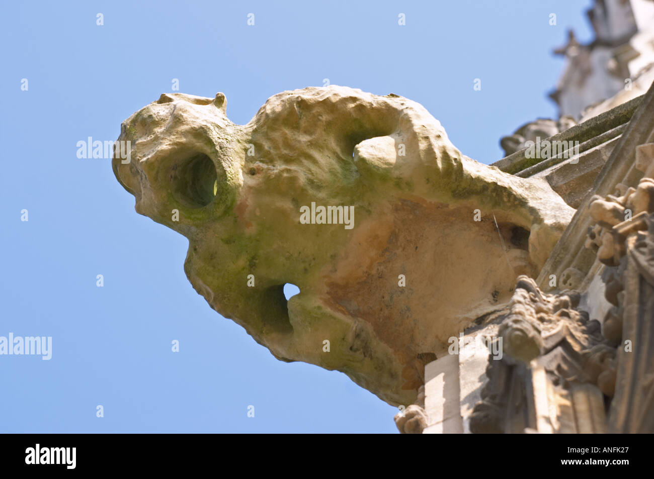Gargoyle on Canterbury Cathedral Kent England Stock Photo - Alamy