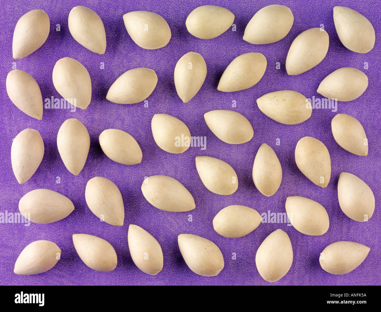 Gingko nut hi-res stock photography and images - Alamy
