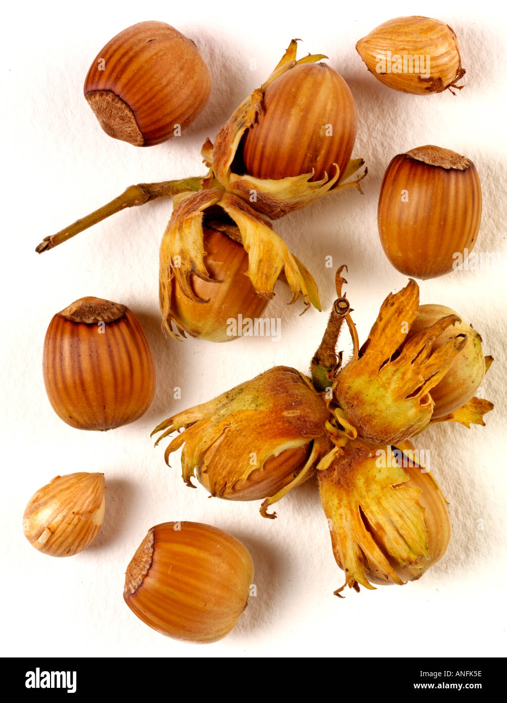 Cob nuts hi-res stock photography and images - Alamy