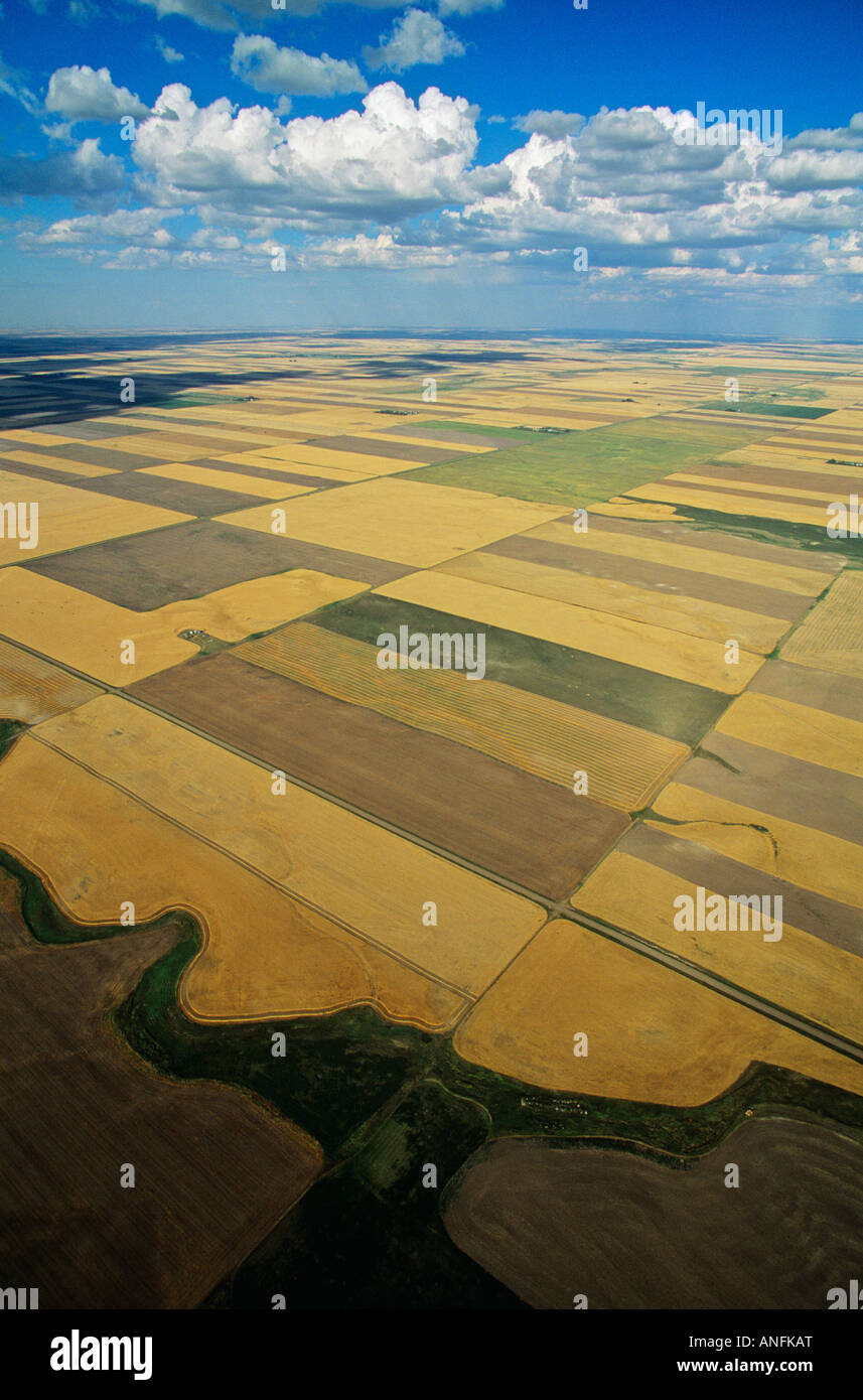 Aerial of farming in saskatchewan, Canada Stock Photo - Alamy