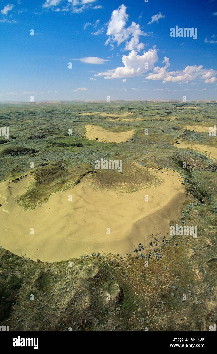 Athabasca sand dunes saskatchewan hi-res stock photography and images ...