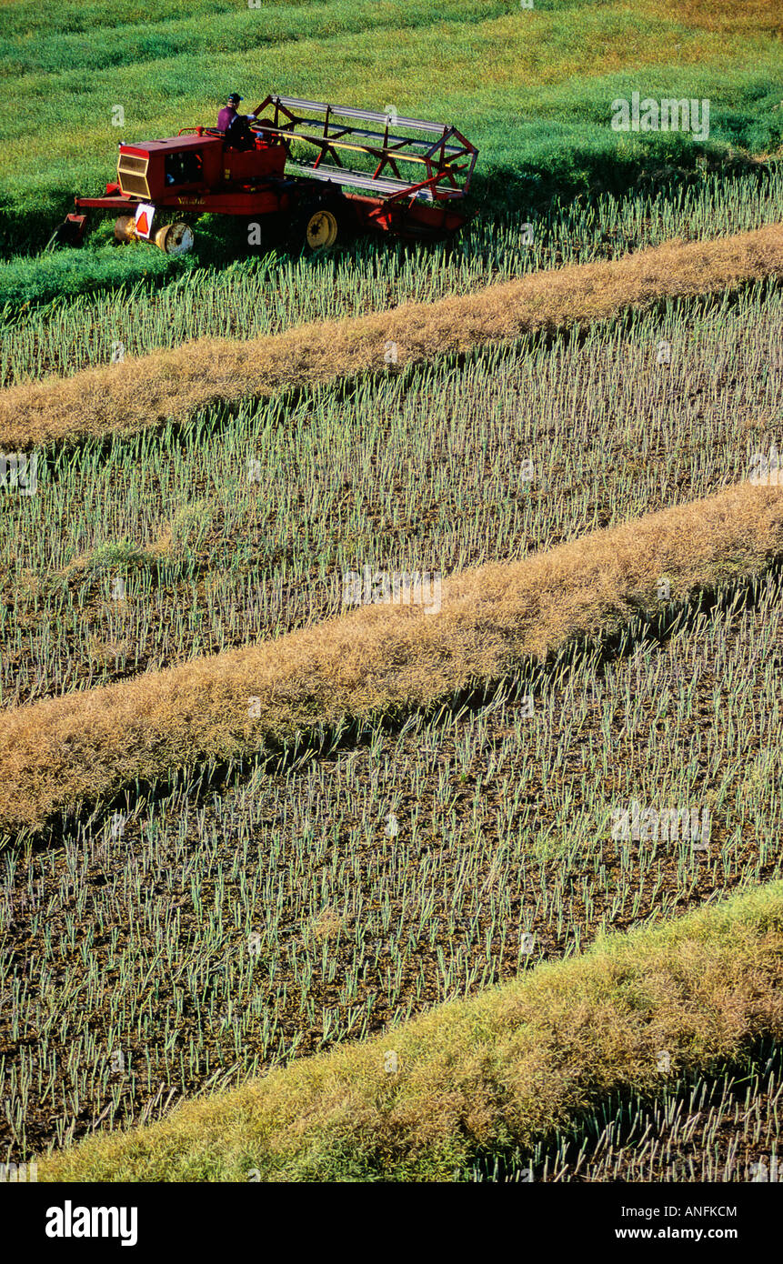 Aerial farm manitoba hi-res stock photography and images - Alamy