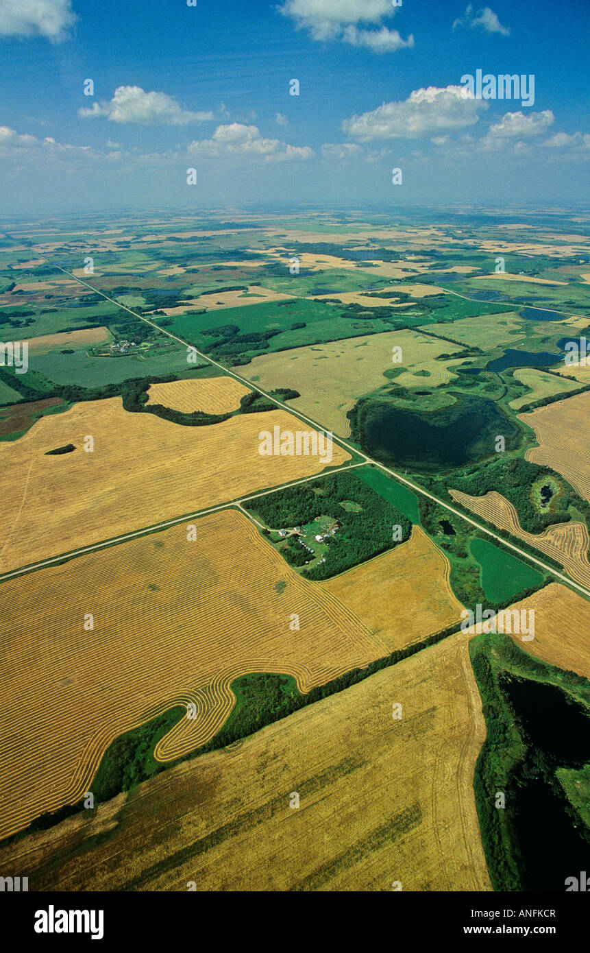 Aerial farm manitoba hi-res stock photography and images - Alamy