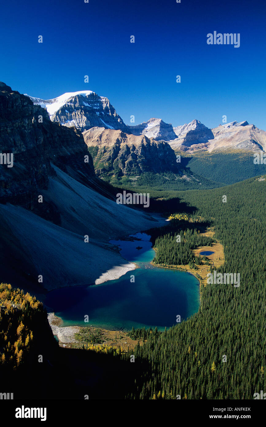 Ball range, banff national park, alberta, Canada Stock Photo - Alamy
