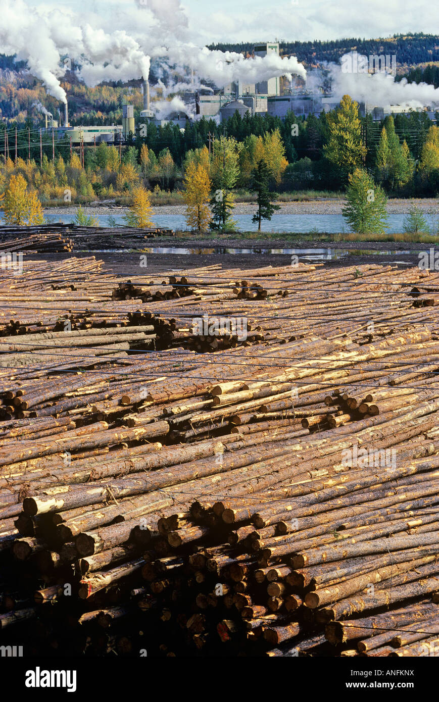 Western america pulp hi-res stock photography and images - Alamy