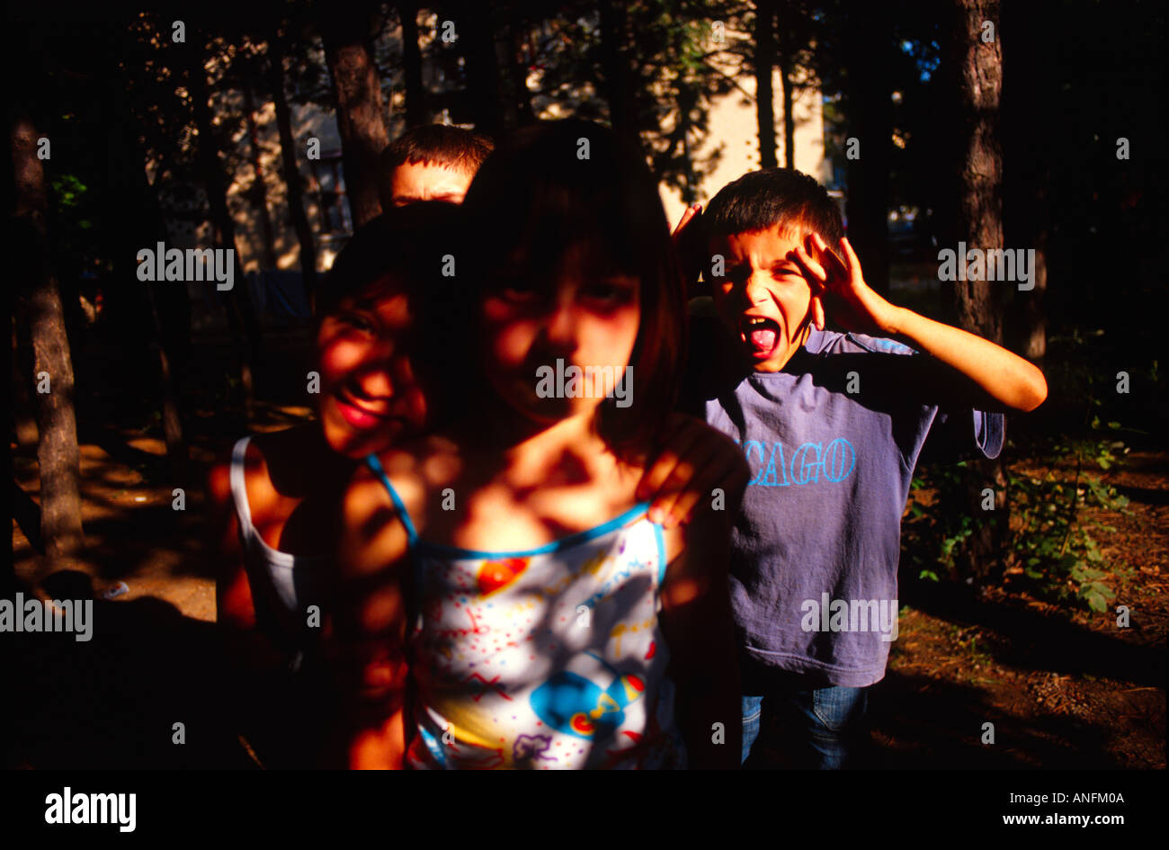 kids between trees, mitrovica, kosovo Stock Photo - Alamy