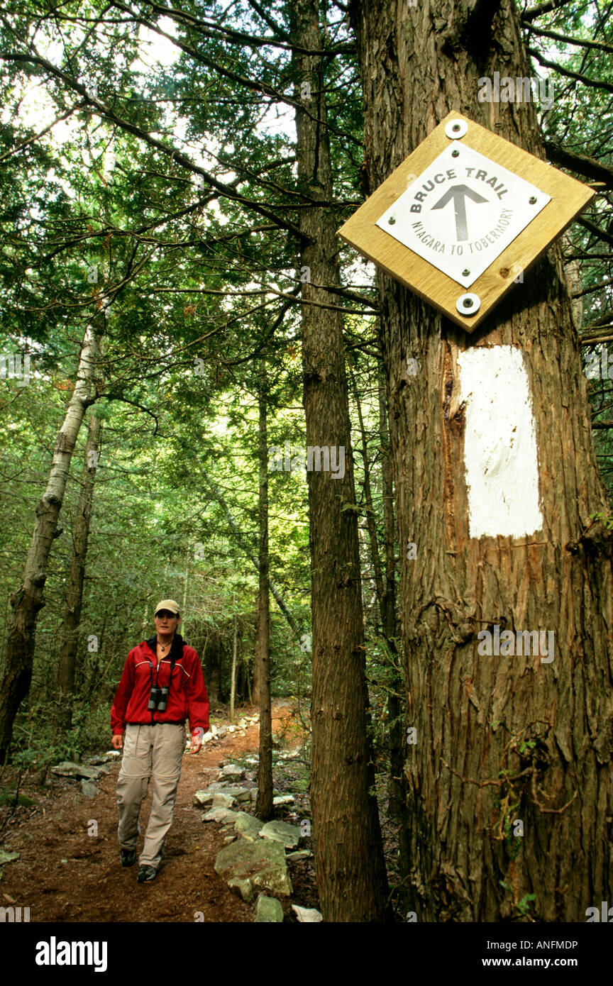 Hikers bruce trail ontario canada hi-res stock photography and images ...