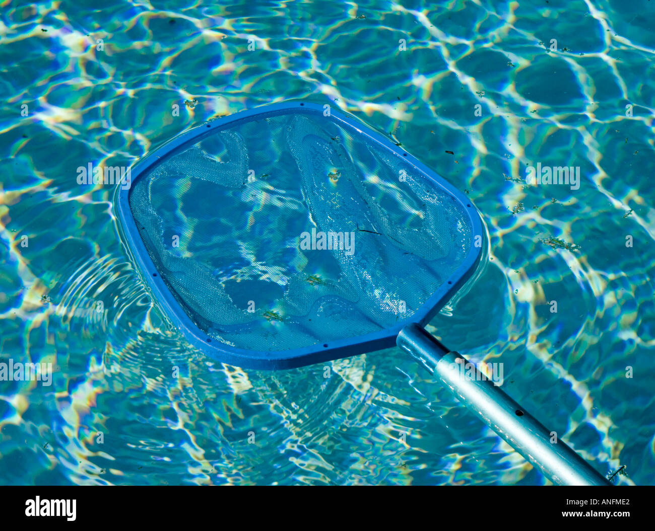 Net in a swimming pool Stock Photo - Alamy
