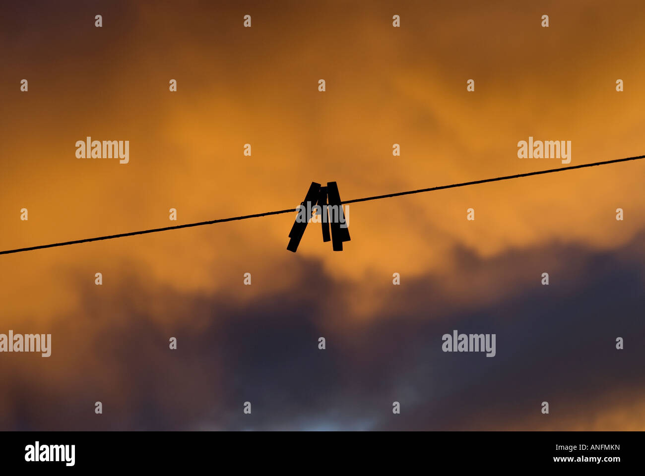 THREE PEGS ON A WASHING LINE AT DAWN ENGLAND Stock Photo - Alamy