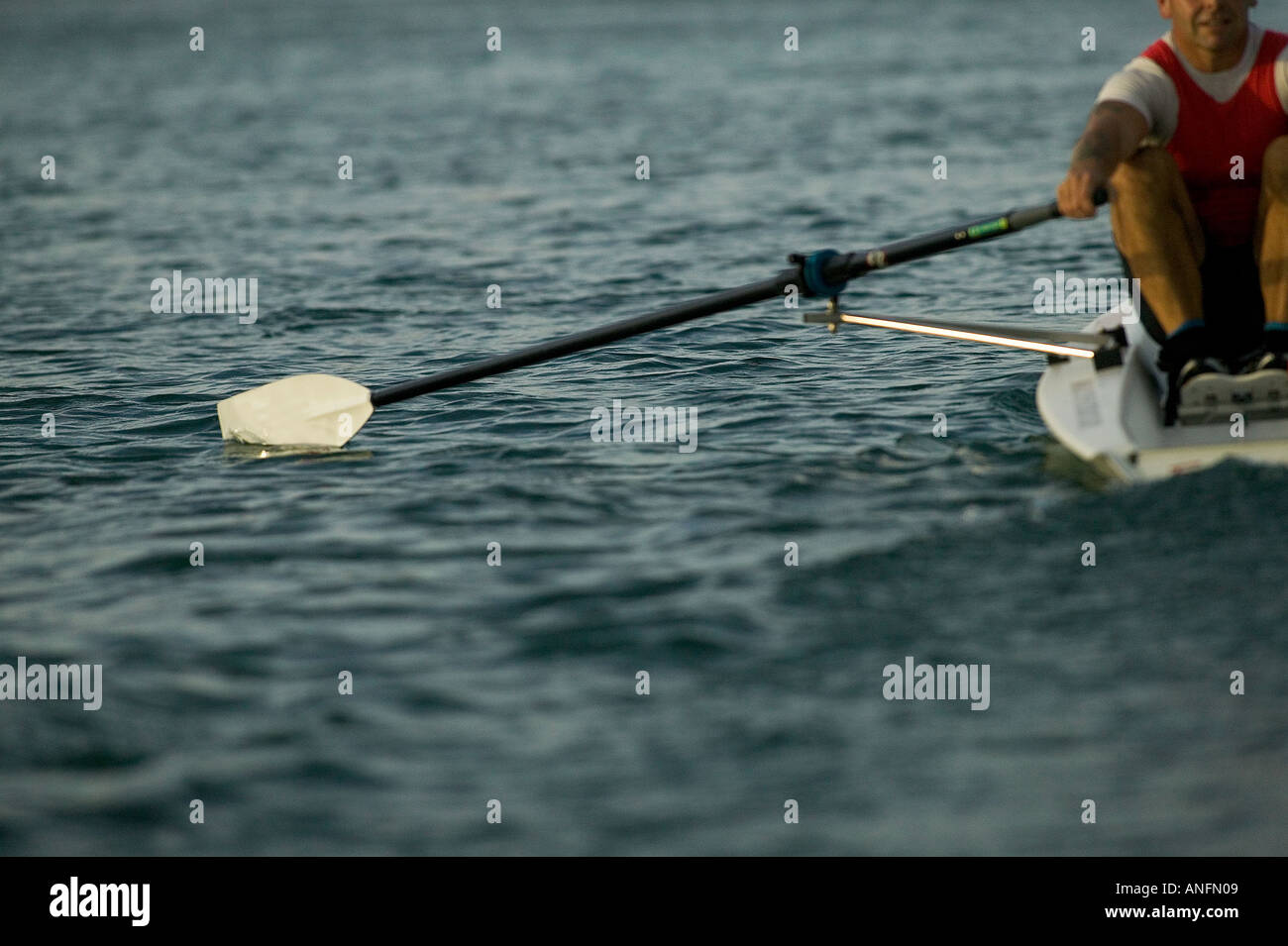 Single coxless rower with red bibn rowing on the river Stock Photo - Alamy