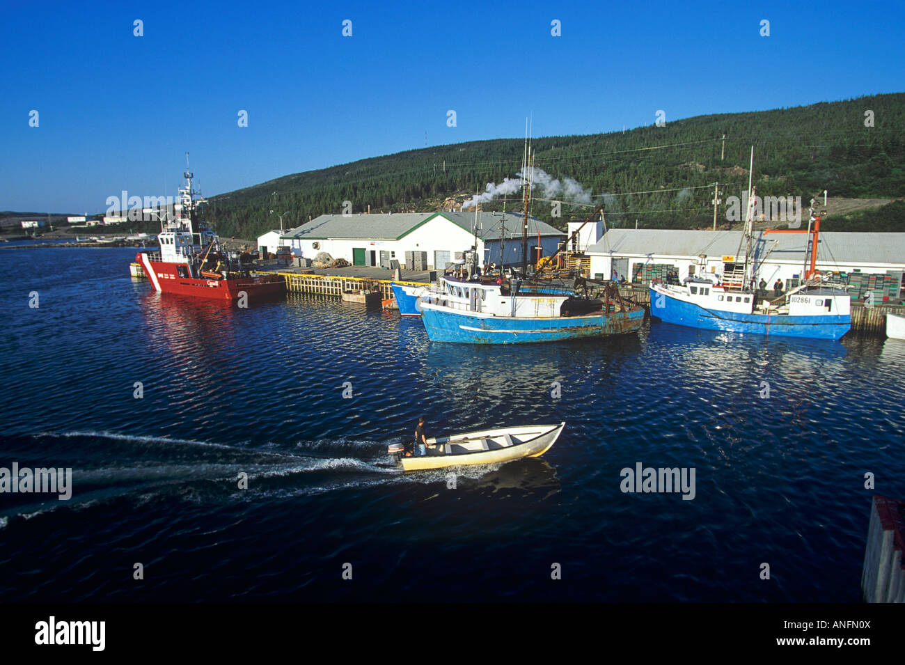 Newfoundland fish hi-res stock photography and images - Alamy