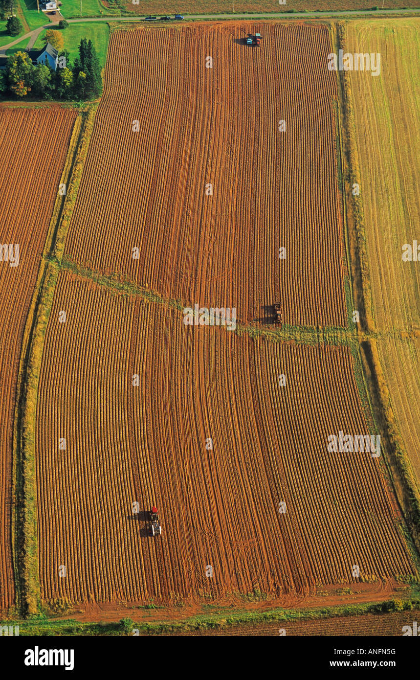 Aerial of a potato field during harvest. Tryon, Prince Edward Island ...