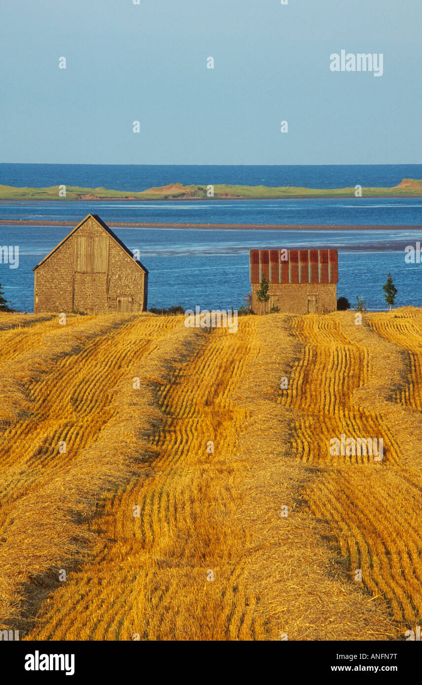 Springbrook prince edward island canada hi-res stock photography and ...