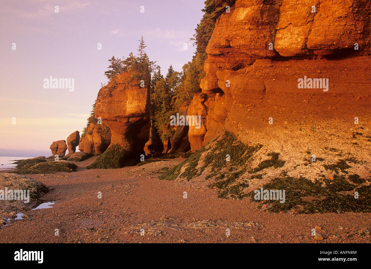 Hopewell rocks provincial park with distinctive eroded rock formations ...