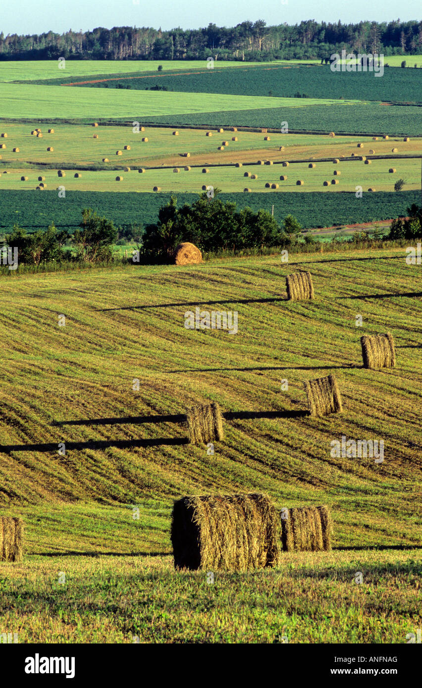 Emerald, Prince Edward Island, Canada Stock Photo - Alamy