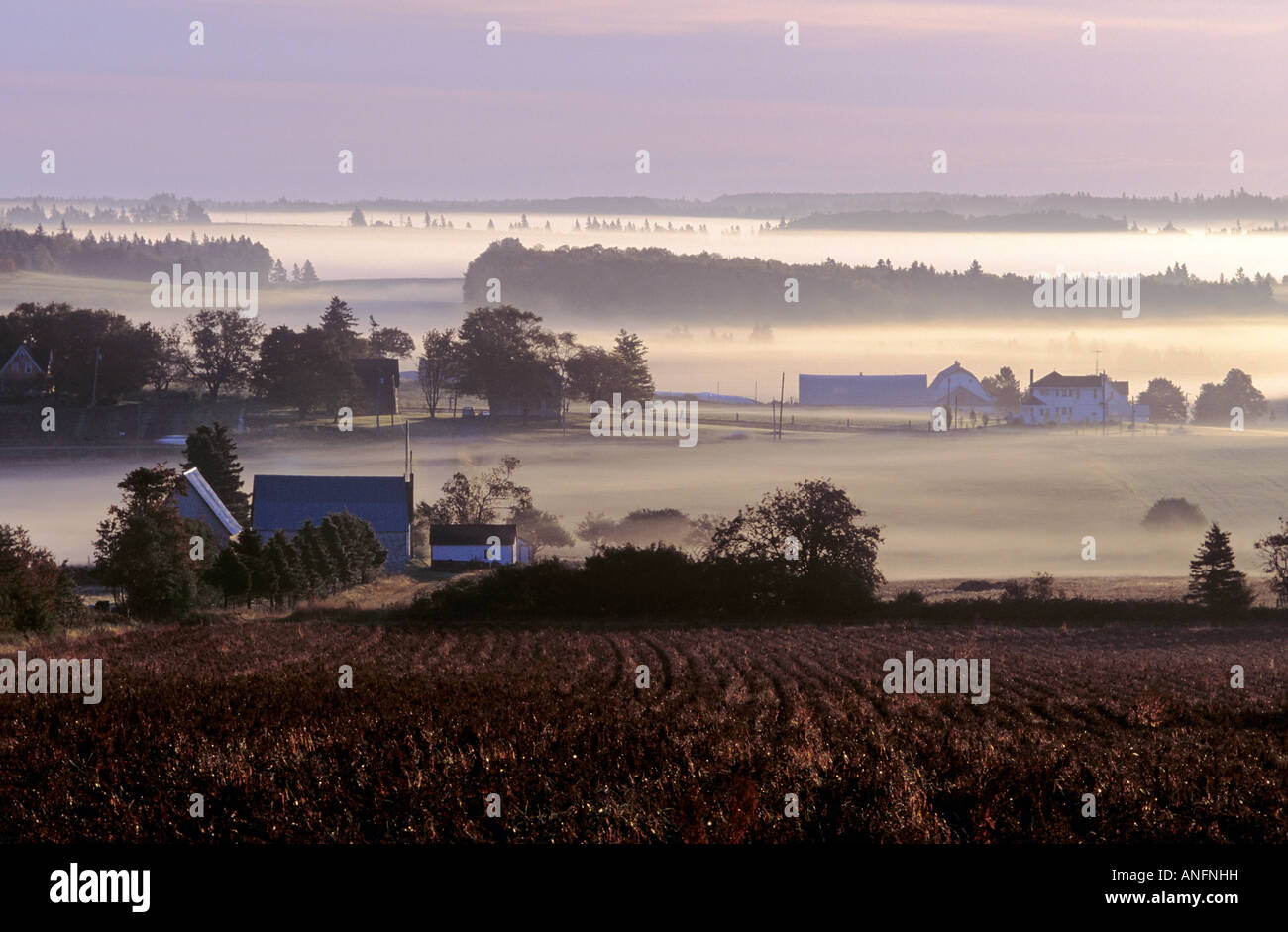 Springvale hi-res stock photography and images - Alamy