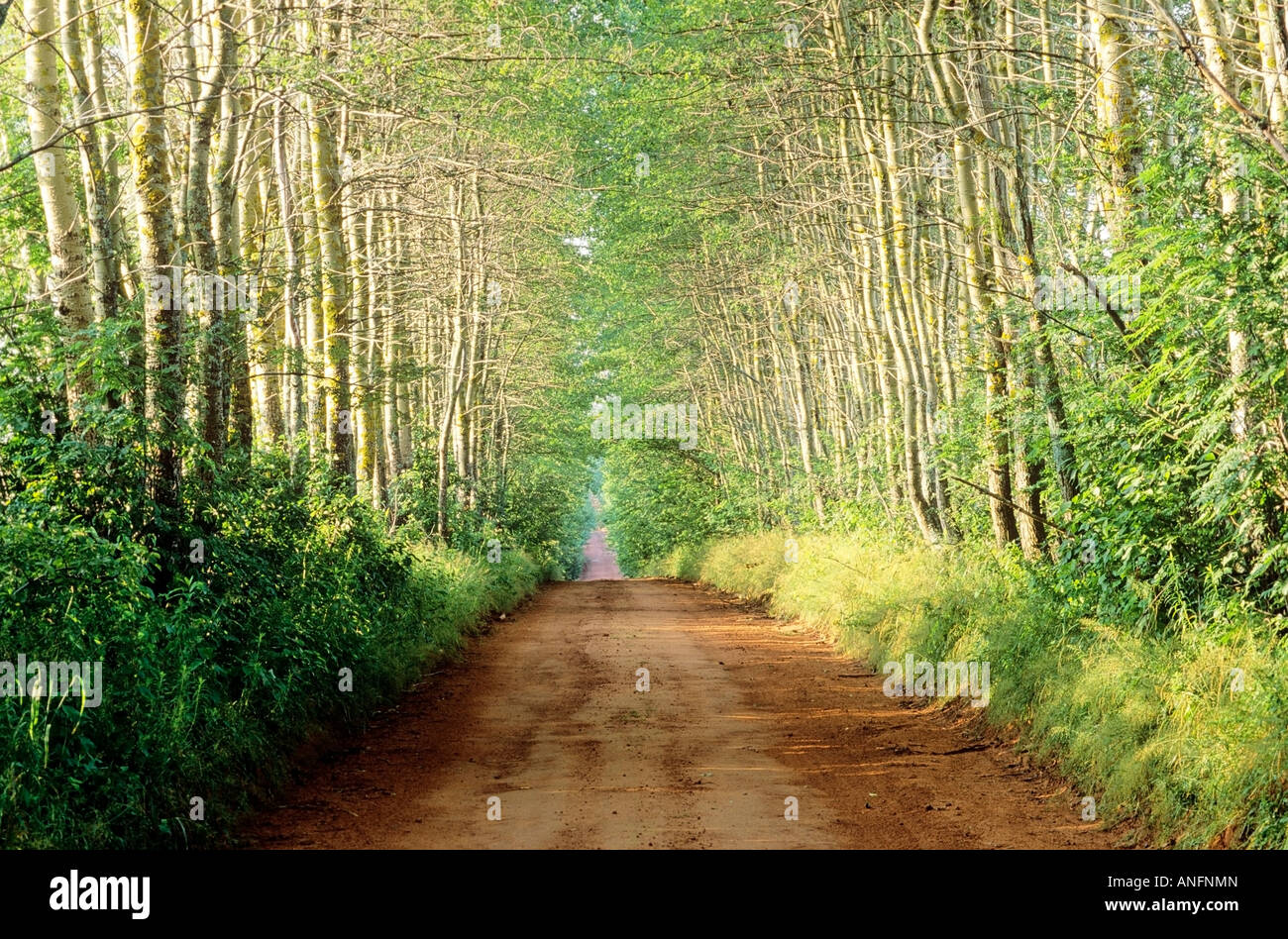 The clay trail cornwall hi-res stock photography and images - Alamy