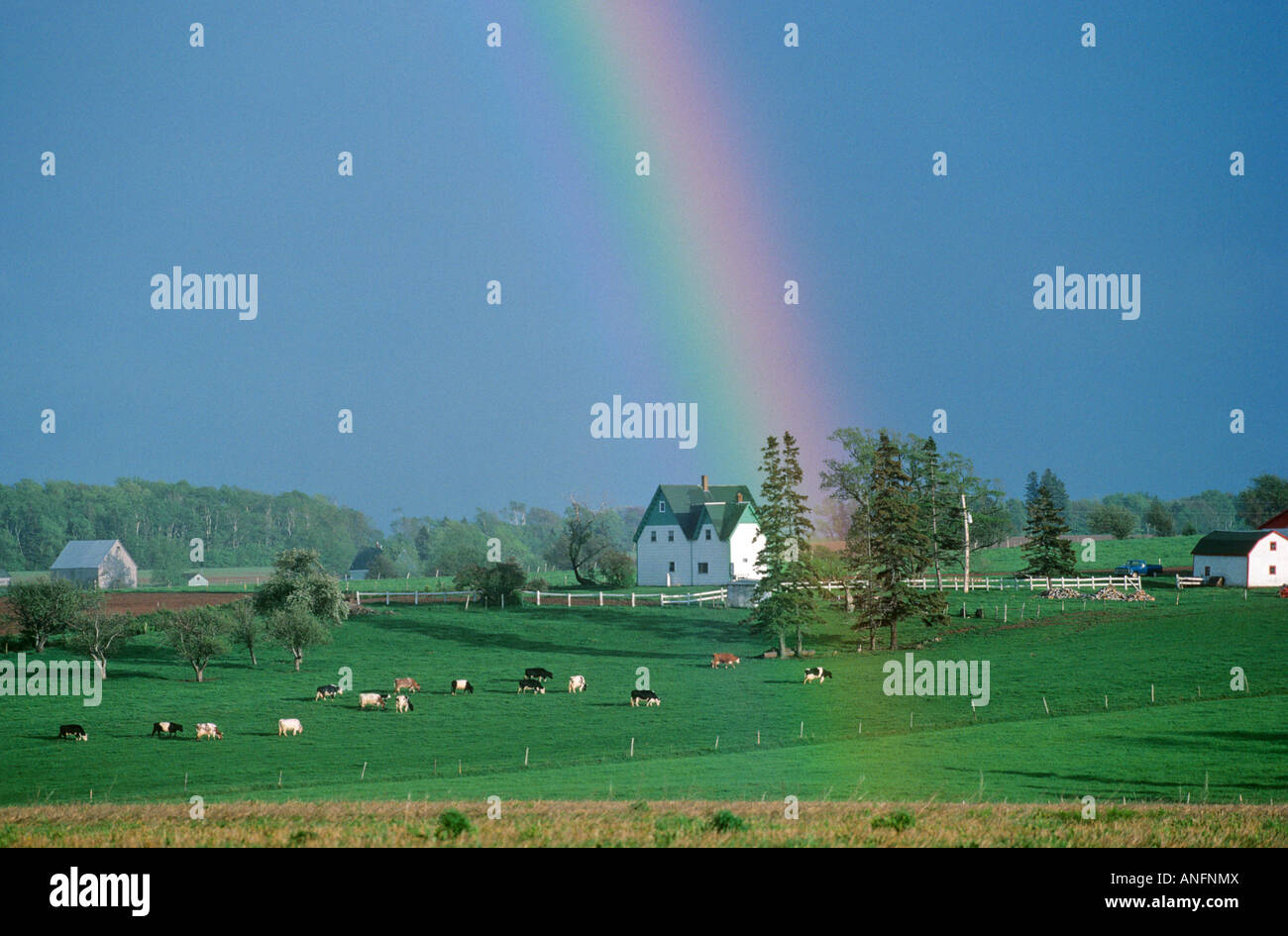 Rainbow over farm, St. Catherines, Prince Edward Island, Canada Stock ...