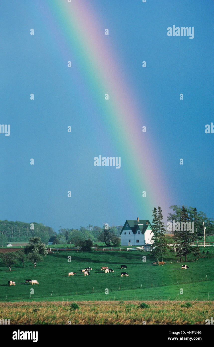 Rainbow over farm, St. Catherines, Prince Edward Island, Canada Stock ...