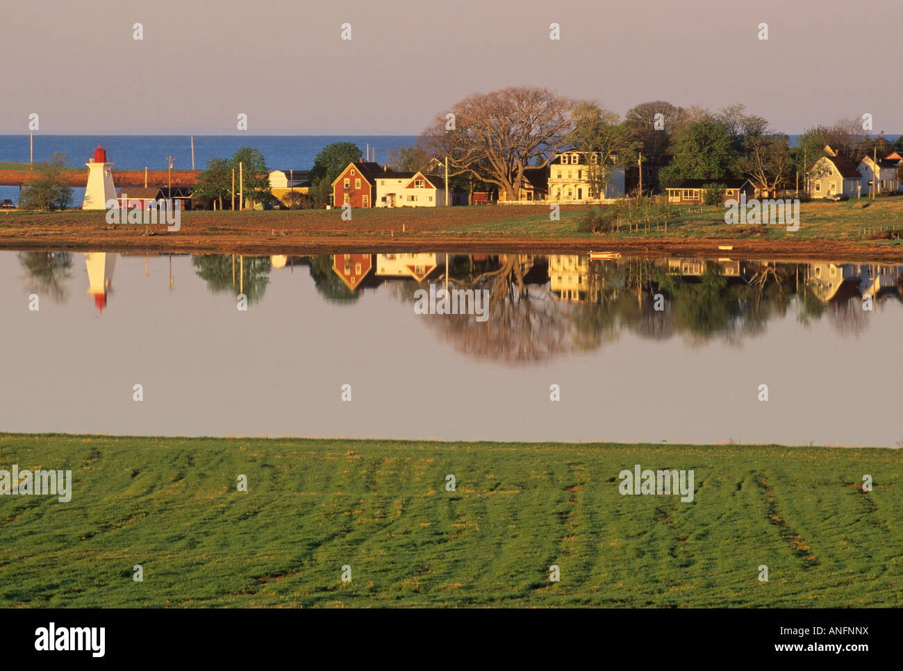 Victoria Prince High Resolution Stock Photography and Images - Alamy