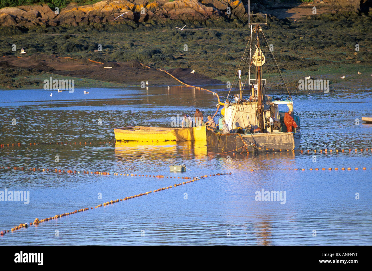Newbrunswick hi-res stock photography and images - Alamy