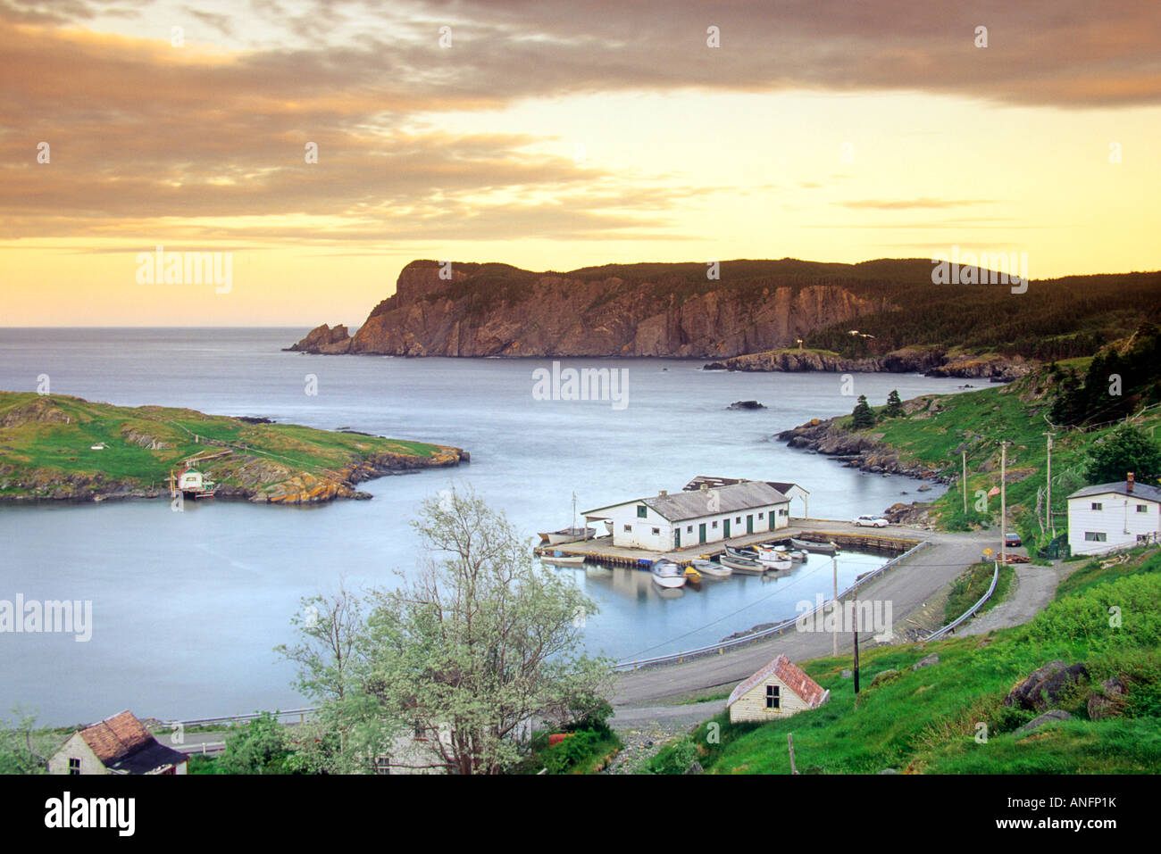 Brigus South, Newfoundland and Labrador, Canada Stock Photo - Alamy