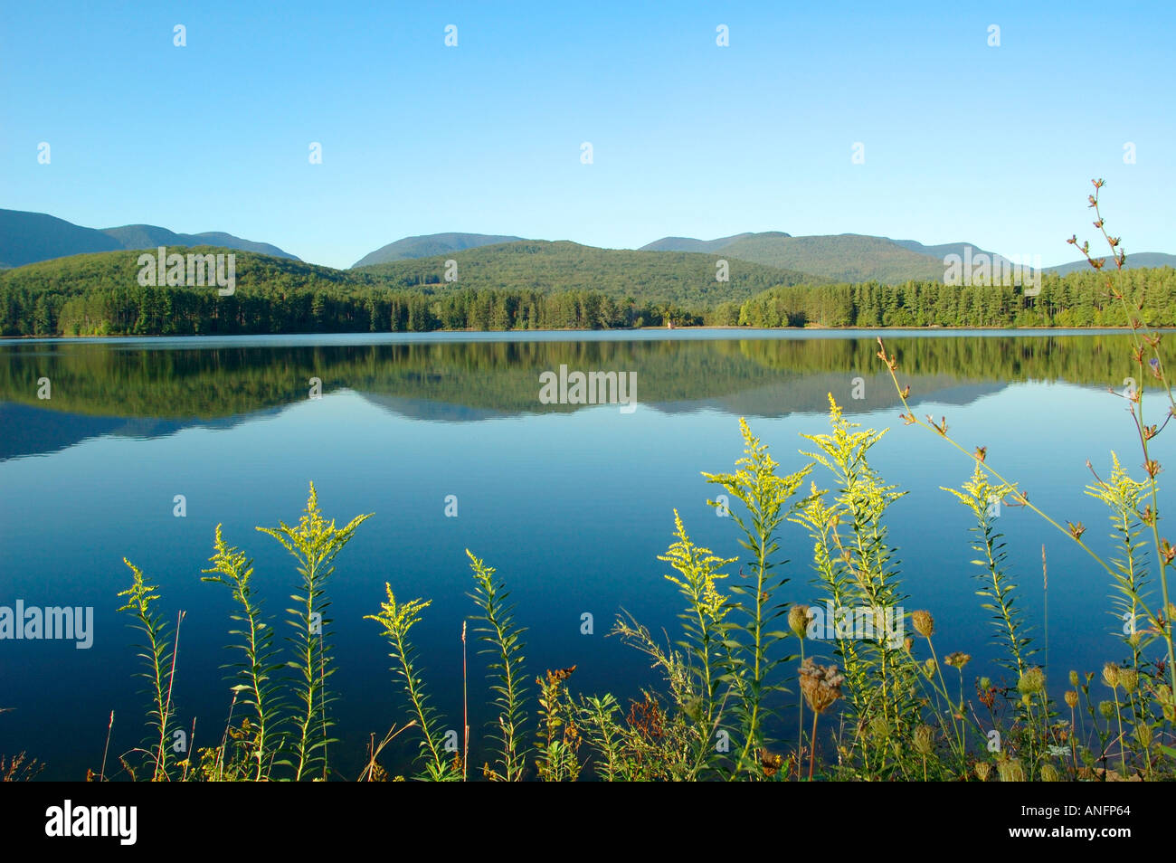 Cooper Lake near Woodstock Catskill Mountain region Upstate New York ...